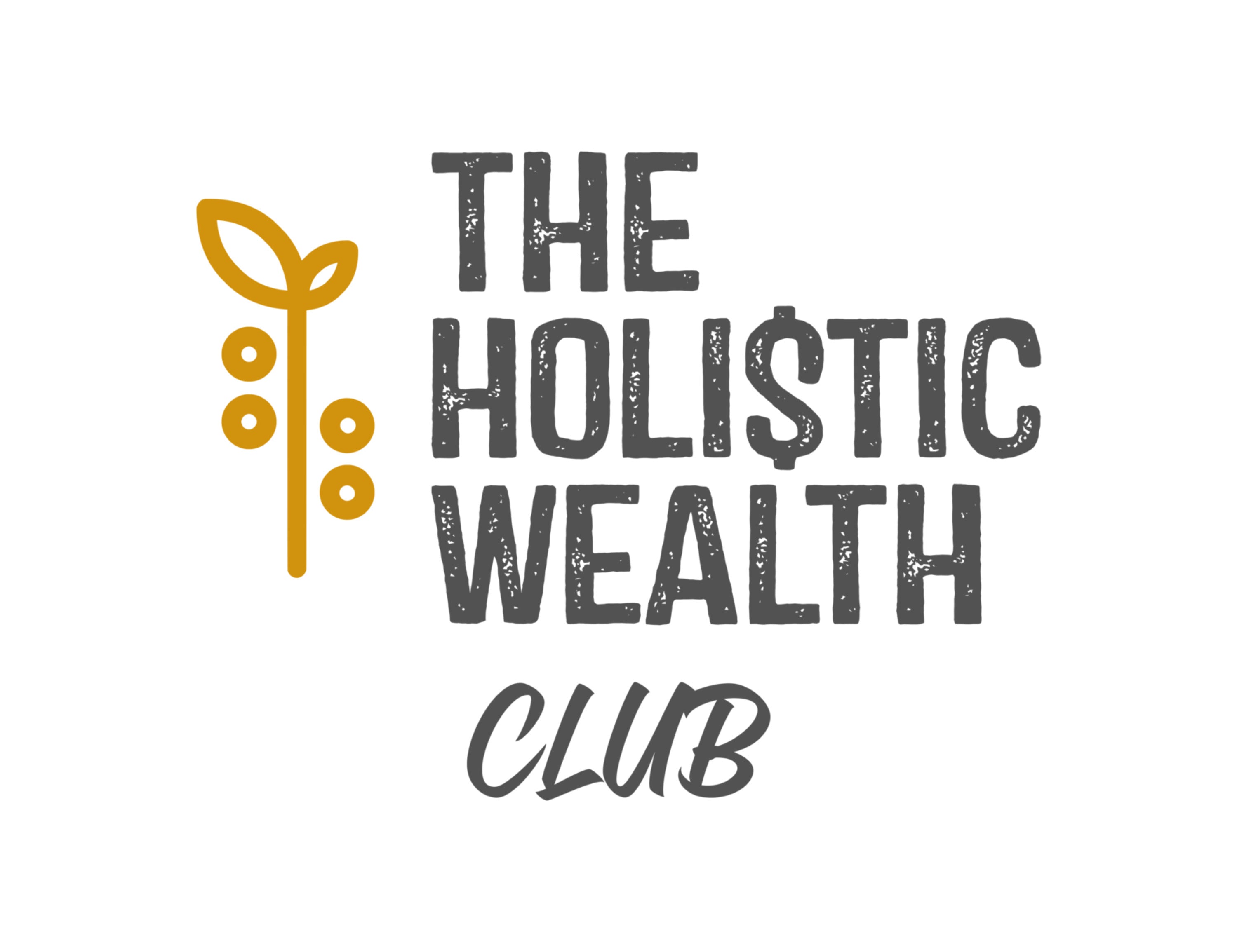 curtains-the-holistic-wealth-club